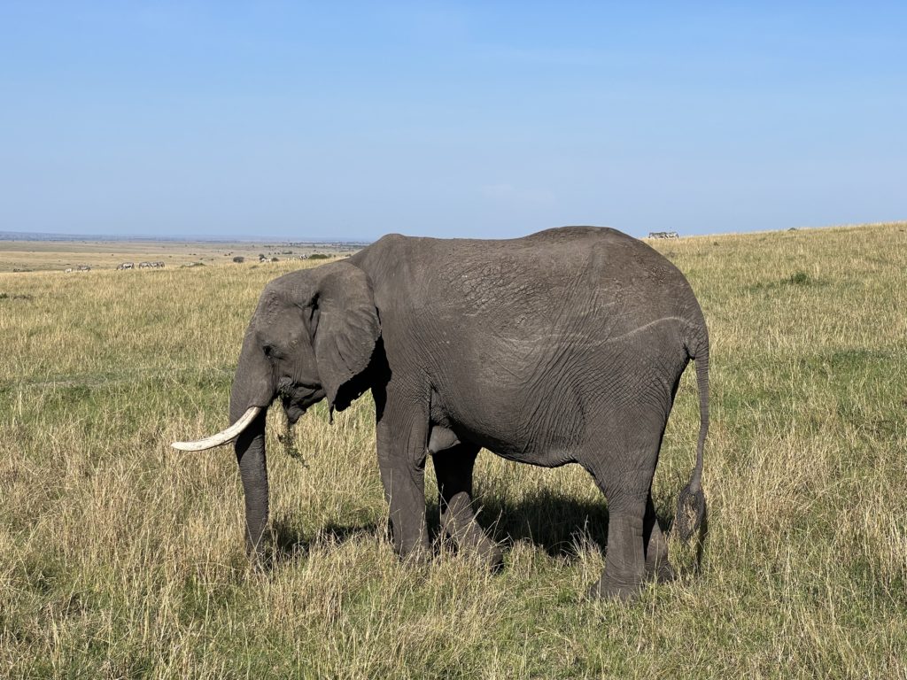 Jambo Kenya! - katie and miki